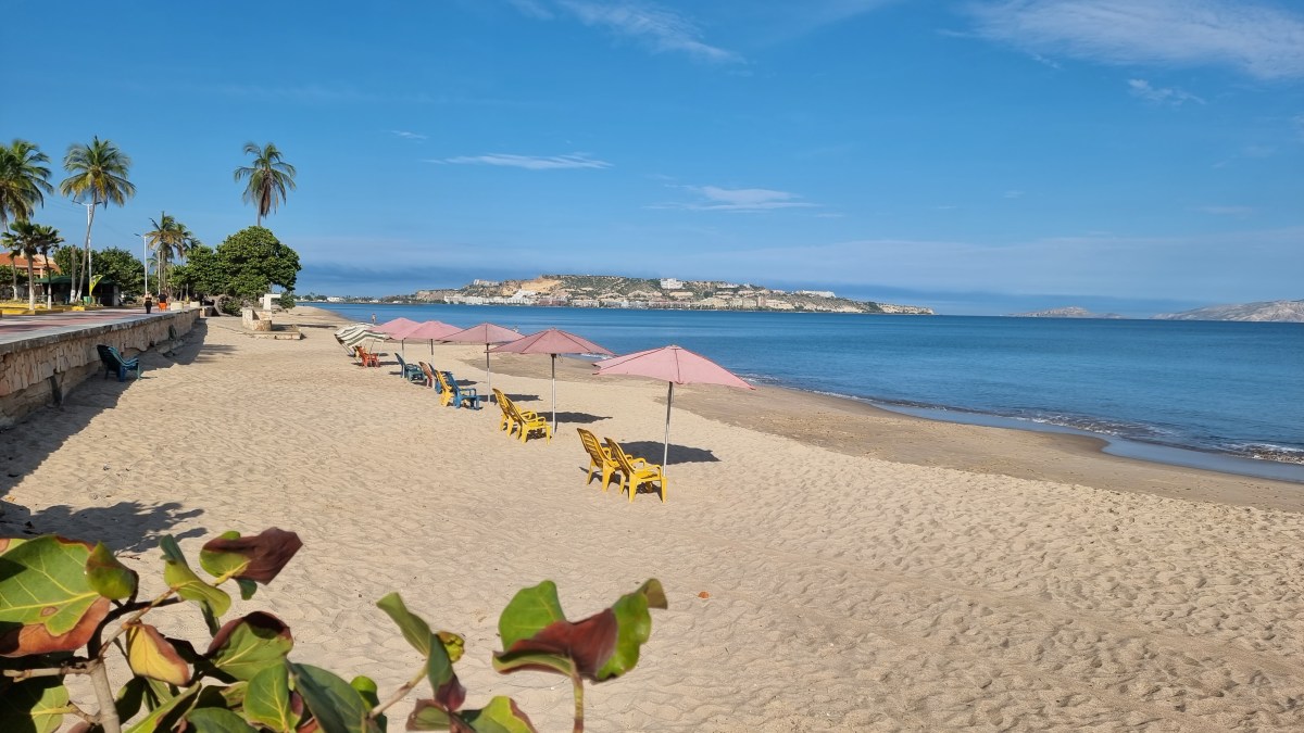 Pasar el día en Playa Canales de Lechería te puede costar 15 ...